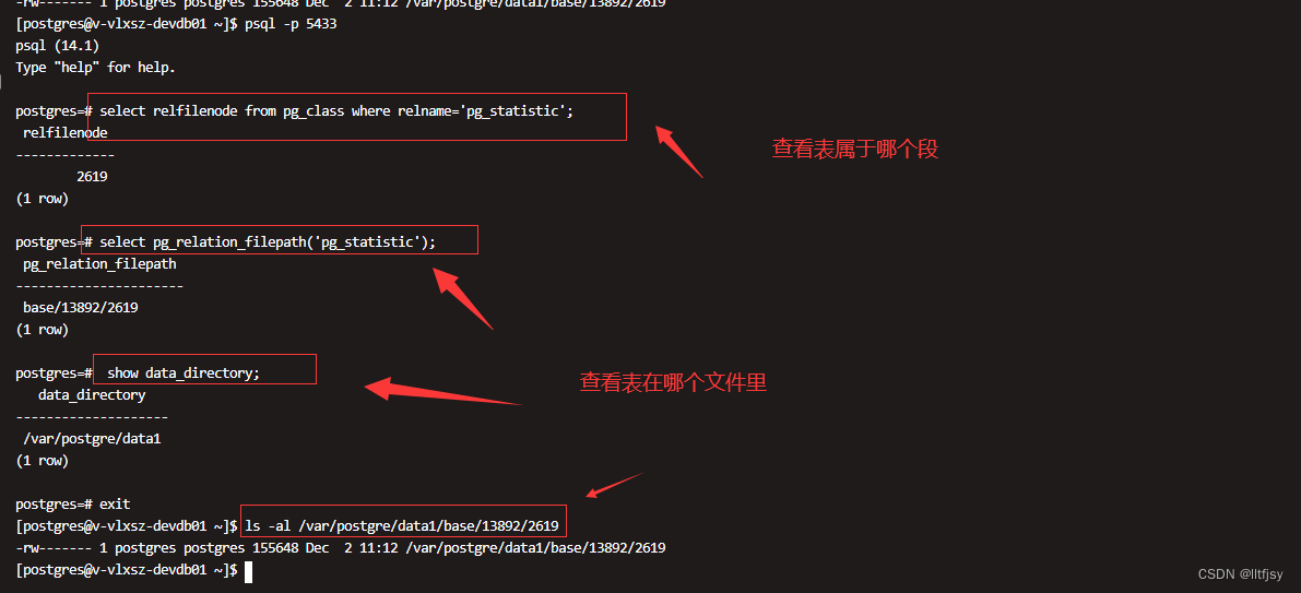 Postgresql文件结构postgresql 数据库文件 Csdn博客