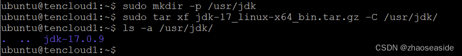Linux命令行安装JDK 17_linux原生指令安装jdk 17-CSDN博客