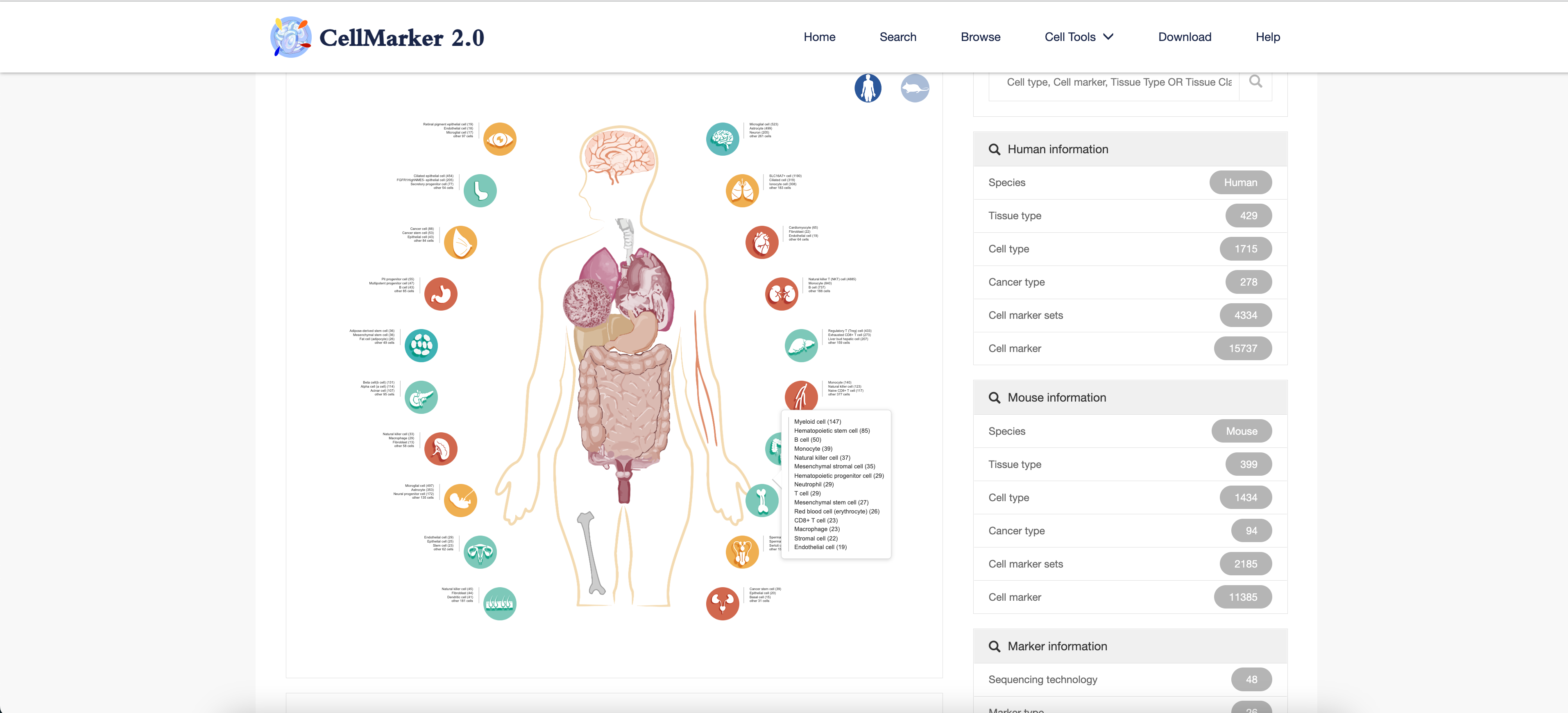 Cellmarker 2 0 细胞标志物数据库更新啦！~（附使用指南） Csdn博客