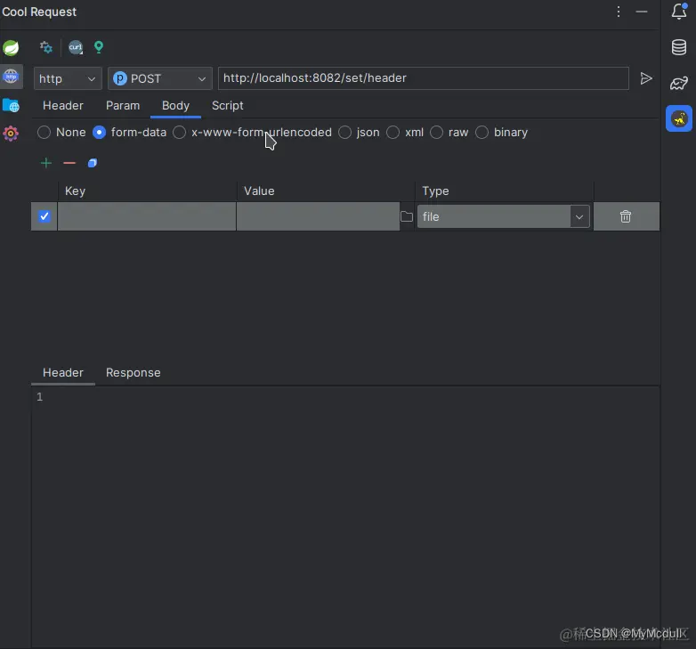 Cool Request-CSDN博客