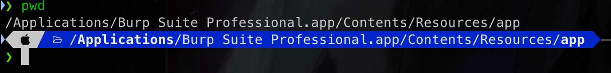 Burp_Suite_Professional_2023安装和谐过程_burp suite professional-CSDN博客