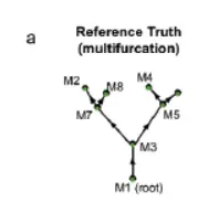 单细胞数据拟时分析之VIA（我的优势你们比不了）_pyvia-CSDN博客
