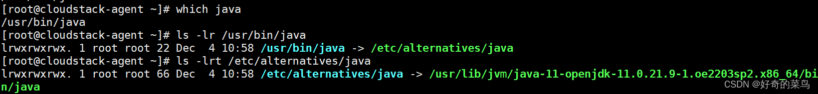 Centos安装openjdk11并配置javahomecentos Openjdk Csdn博客