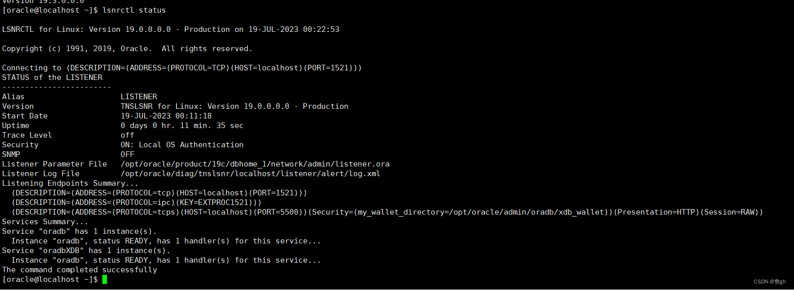 linux系统oracle 19c 安装，rpm方式亲测非常方便。_oracle 19c安装包-CSDN博客