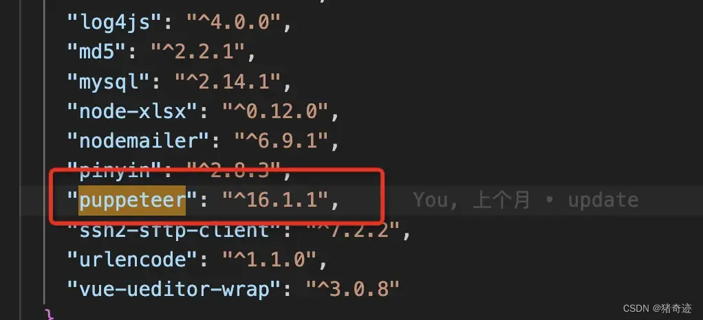 Puppeteer导入pdf攻略以及踩坑问题_puppeteer pdf-CSDN博客