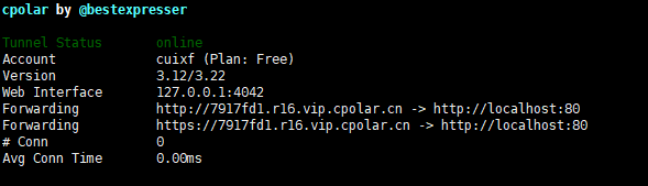 linux虚拟机部署的web项目如何使用外网访问？教你轻松使用cpolar在centos搭建内网穿透_在centos中装的web外面怎么访问-CSDN博客