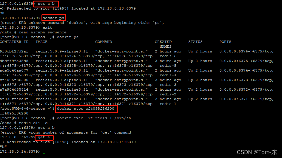 Docker 部署 redis_cenetos docker hostconfig.json 再哪里-CSDN博客