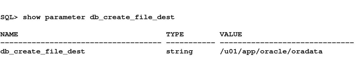 oracle中db_create_file_dest参数_oracle dest-CSDN博客