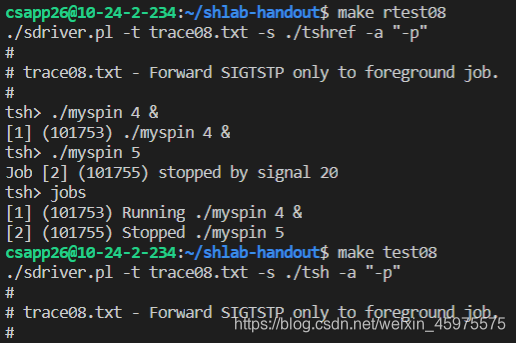 CSAPP shelllab实验_csapp:shelllab实验-CSDN博客