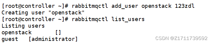 OpenStack部署compute节点时，openstack-nova-compute.service服务起不来_openstack ...