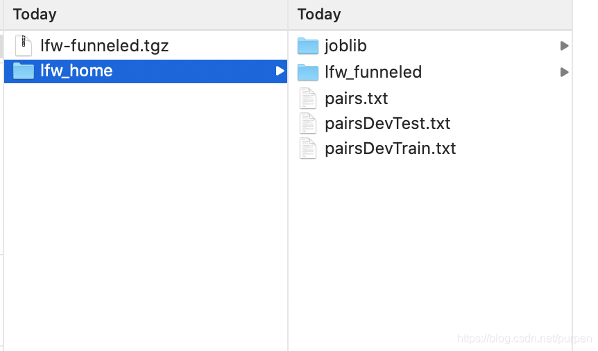 sklearn进行人脸数据集加载fetch_lfw_people()报错_sklearn lfw-CSDN博客