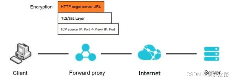 openEuler 欧拉系统nginx正向代理 http https —— 筑梦之路_欧拉linux 安装nginx-CSDN博客