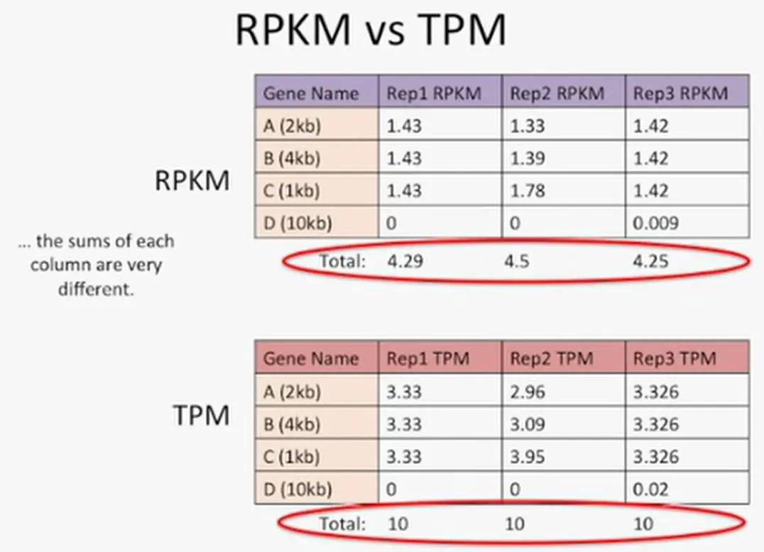 RPKM、FPKM 和 TPM cpm-CSDN博客