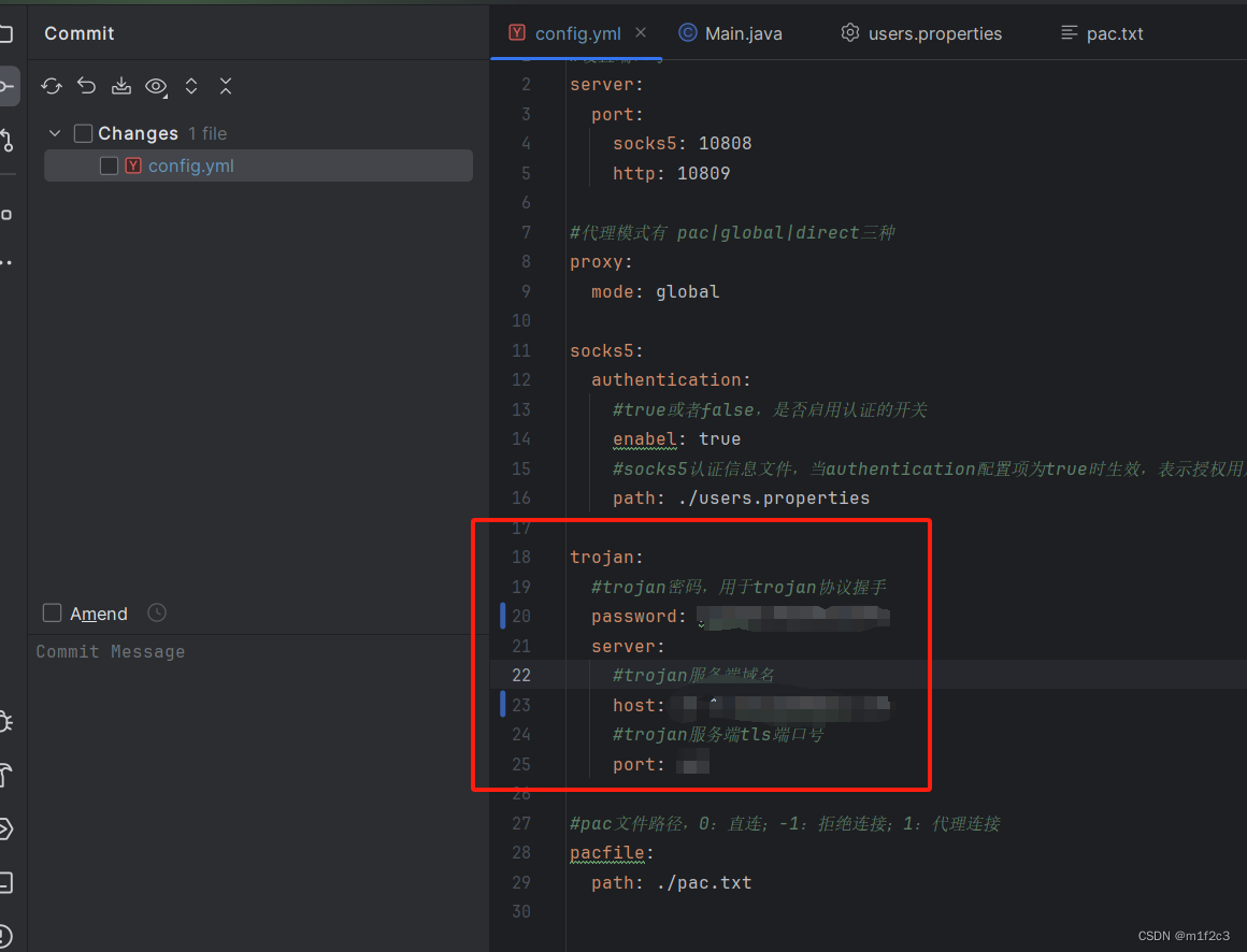 NettyTrojanClient代码解析：协议、责任链与发送流程-CSDN博客