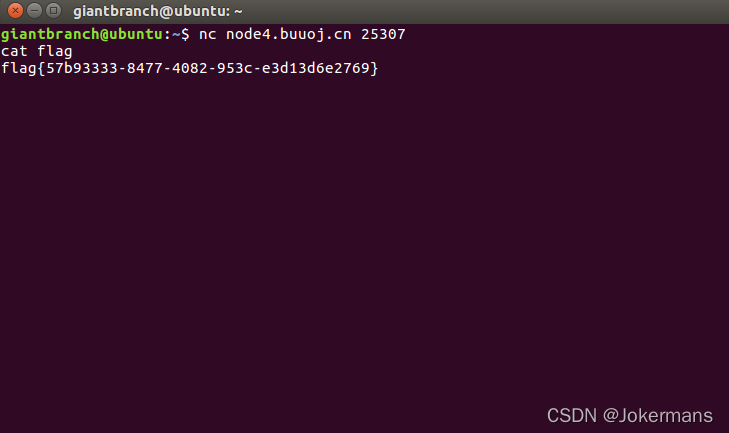 BUUCTF-PWN_buuctf pwn-CSDN博客