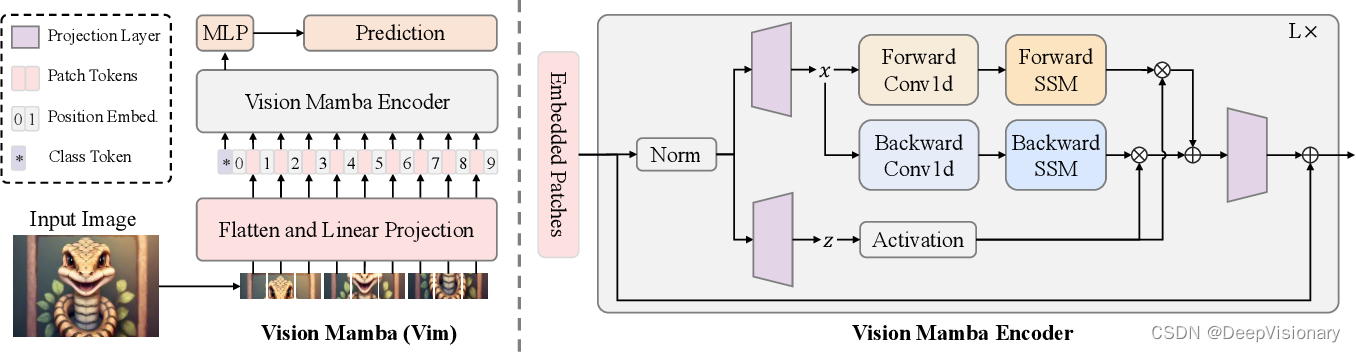 Vision Mamba：高效视觉表示学习双向状态空间模型，超越Vision Transformer！-CSDN博客