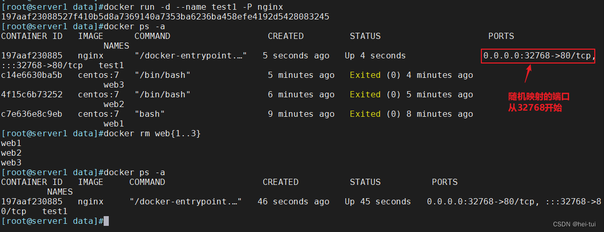 Docker 的数据管理与网络通信以及Docker镜像的创建_dockers构建镜像,docker通讯问题-CSDN博客