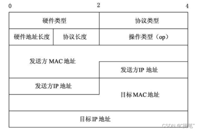 TCP/UDP/ARP/DNS/HTTP/帧的包头解析（保姆级分析）_tcp包头-CSDN博客