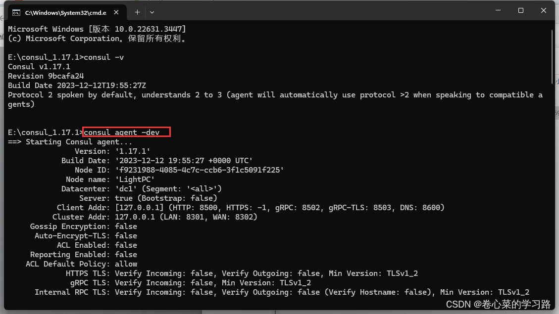 Consul 详细安装教程，以及配置持久化以及注册为服务详细教程_consul安装-CSDN博客