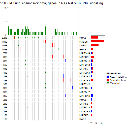 超详细的R语言热图之complexheatmap系列（5）_r complexheatmap 临床特征-CSDN博客