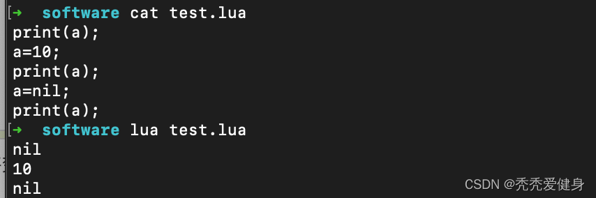 Java生态/Redis中如何使用Lua脚本_java redis lua脚本-CSDN博客