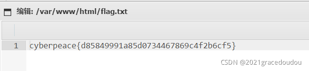 ctf-攻防世界-web：webshell_通过写webshell获取flag-CSDN博客