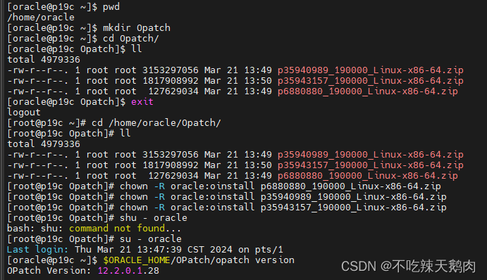 oracle19c单实例补丁升级和回退_19c patch补丁-CSDN博客