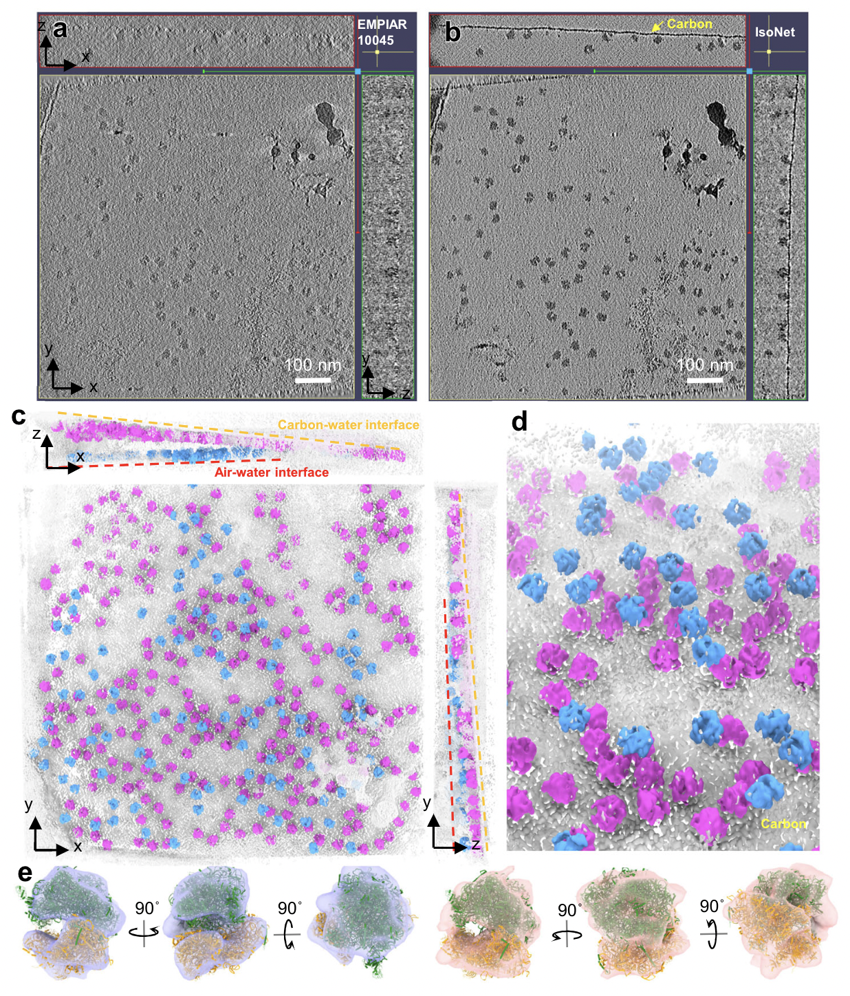 【论文阅读|cryoET】Isotropic reconstruction for electrontomography with deep learning (解决缺失楔问题&降噪）_ctf ...