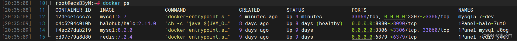 通过Docker新建并使用MySQL数据库_docker 创建mysql-CSDN博客
