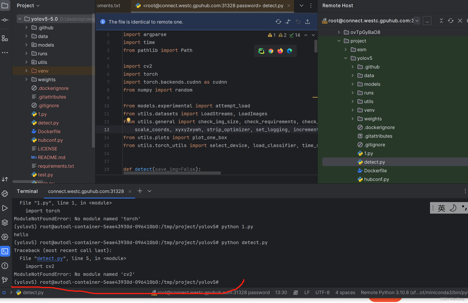 autodl运行yolov5_autodl yolov5-CSDN博客