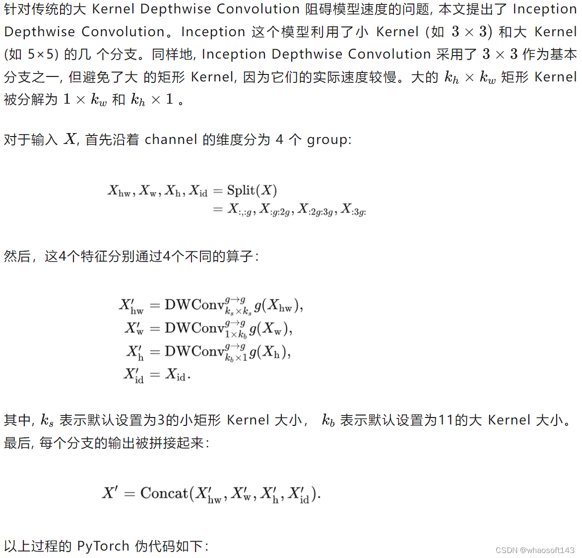 InceptionNeXt-CSDN博客