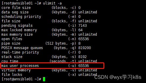 linux最大线程数限制及打开最大文件数_max user processes-CSDN博客