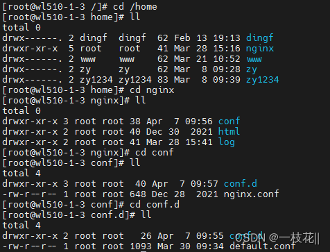 Docker 安装Nginx_dockers内装nginx-CSDN博客