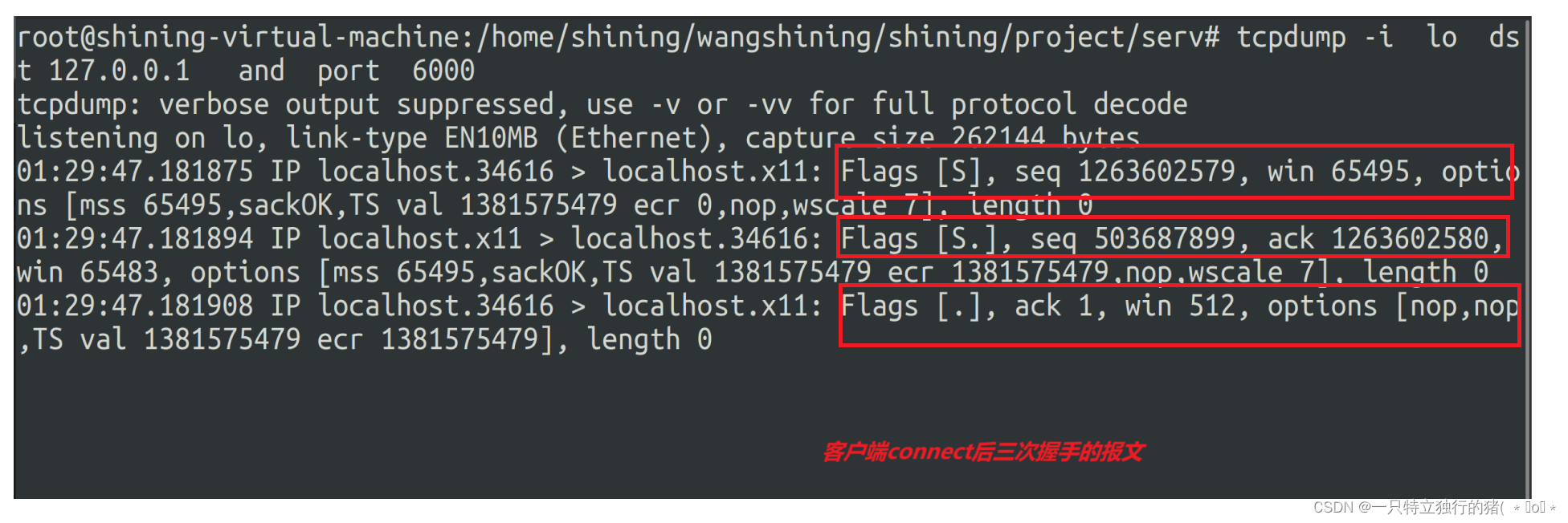 系统监测工具-tcpdump的使用_tcpdump flags-CSDN博客