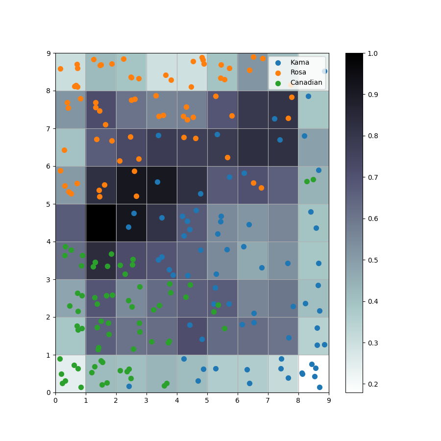 SOM自组织（竞争型）神经网络（Python实现）_som python-CSDN博客