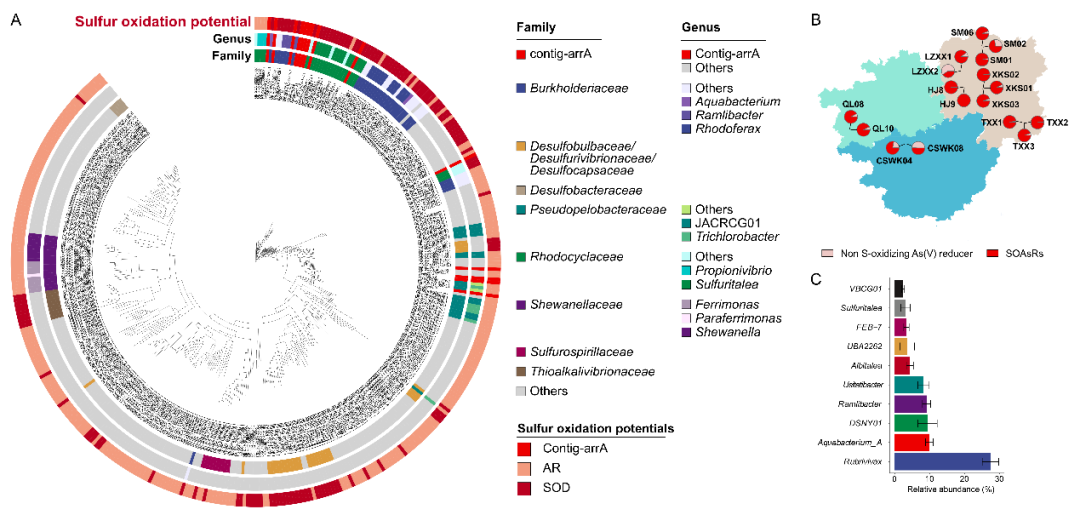 ISME | 矿山修复新视角——微生物介导的硫氧化耦联砷还原过程-CSDN博客
