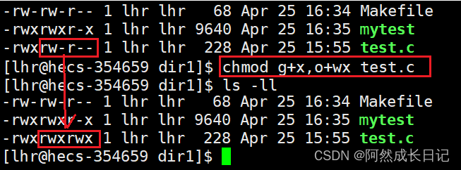 【Linux】权限（rwx）及chmod、chown、chgrp修改权限等指令详解!-CSDN博客