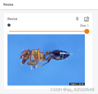 代码实战（小土堆）——常见的Transforms（二）_transforms.resize(512)-CSDN博客