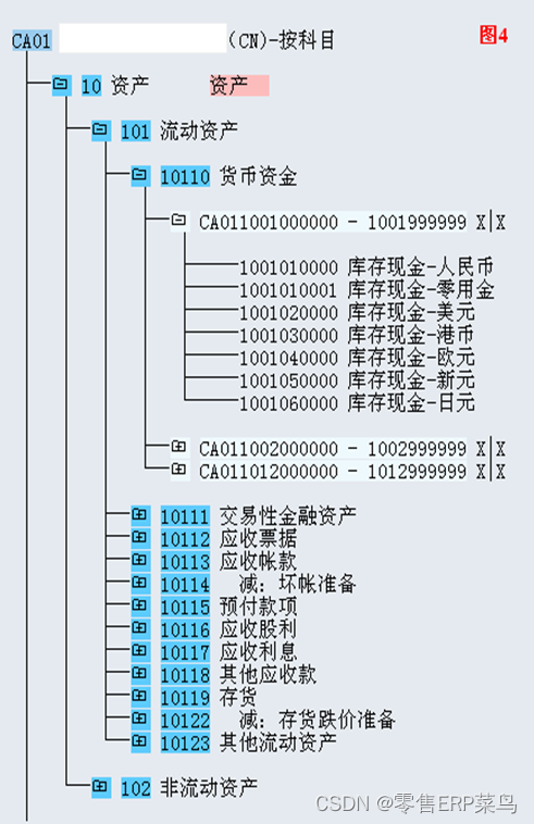 SAP-FI配置与业务解析之财务报表版本_sap fse2-CSDN博客