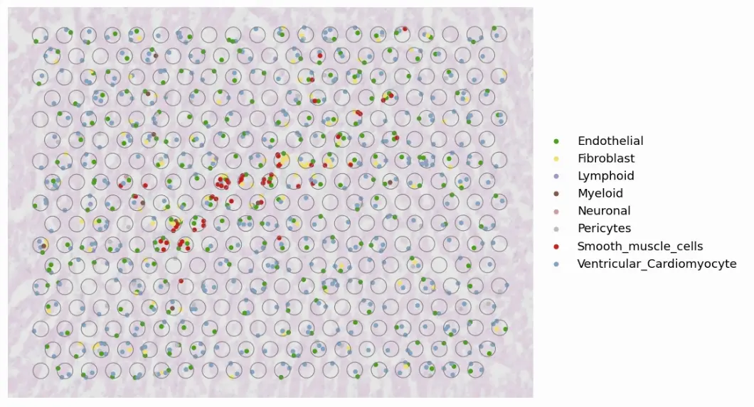单细胞空间联合分析之spatialscopeintegrating Spatial And Single Cell Transcriptomic Csdn博客