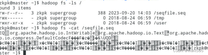 SequenceFile、元数据操作与MapReduce单词计数-CSDN博客