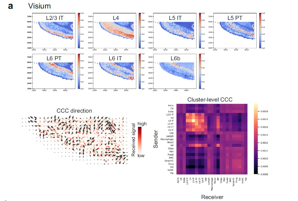 通过空间行为（optimal transport）推断空间细胞间通讯信号方向(COMMOT)_screening cell–cell communication in spatial ...