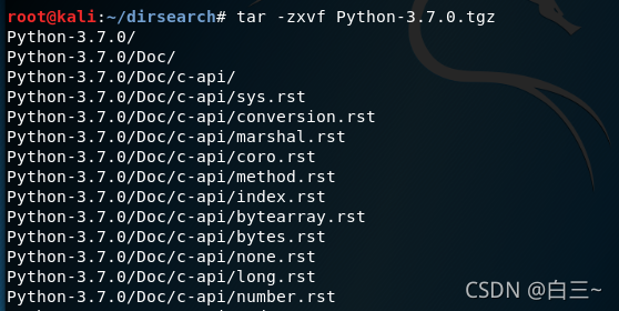 kali python_kali环境下安装python3.7_kali安装python3.7-CSDN博客