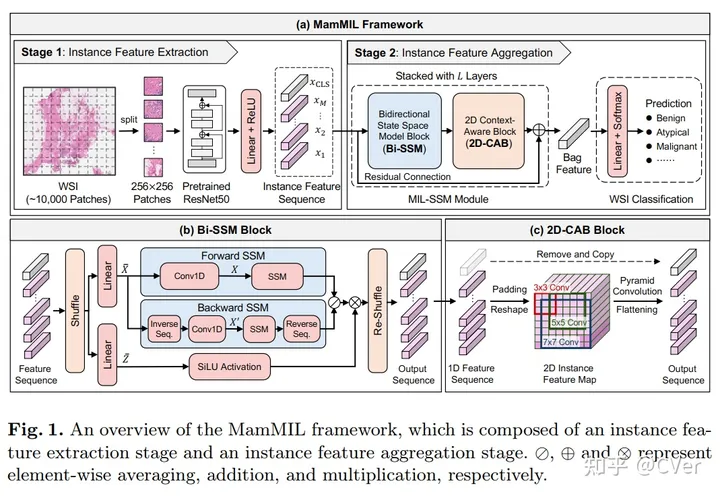 Mamba再下一城！清华提出MamMIL：使用状态空间模型对WSI进行多示例学习_mammil: multiple instance ...