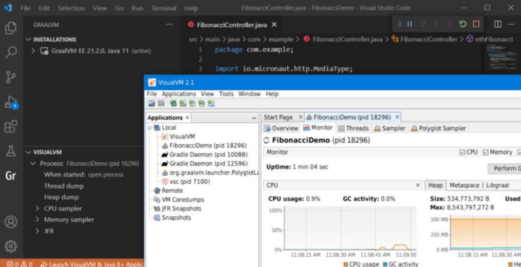 在 VS Code 中使用 GraalVM 和 VisualVM 进行性能和内存分析_graalvm vscode-CSDN博客
