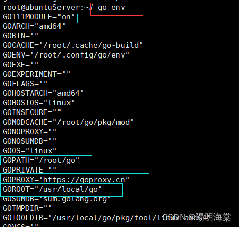 云服务器Go开发环境配置 | VScode远程连接_vscode ssh主机中如何使用go-CSDN博客
