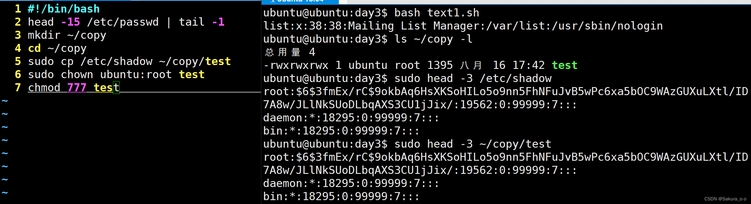 C高级Day3-CSDN博客