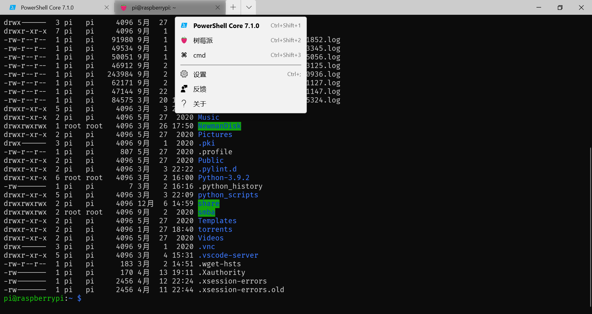 使用Windows Terminal进行SSH连接_windows terminal 连接ssh-CSDN博客