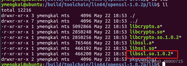 ImportError: libssl.so.1.0.2: cannot open shared object file: No such ...