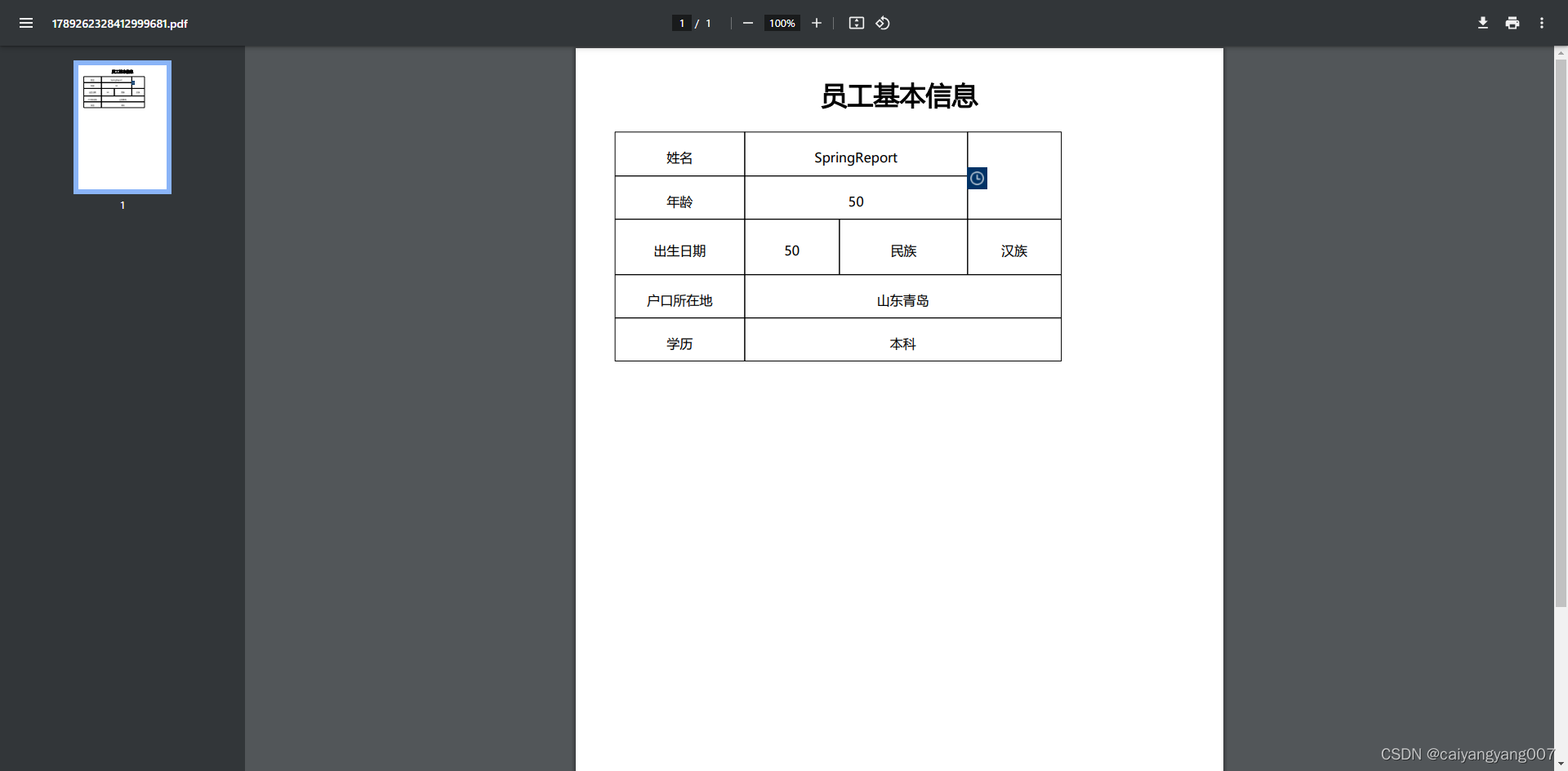 不止于excel--SpringReport新增word支持_springreport官网-CSDN博客